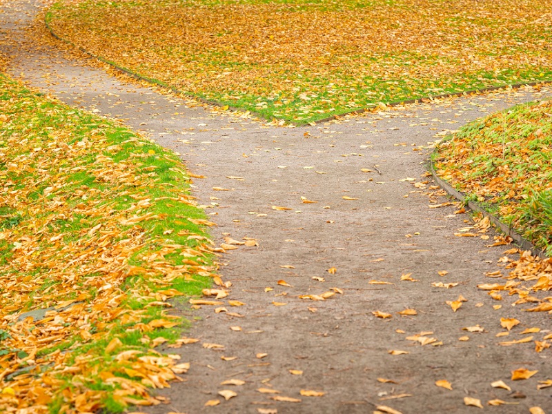 Life unfolds through events and choices - Tryangle